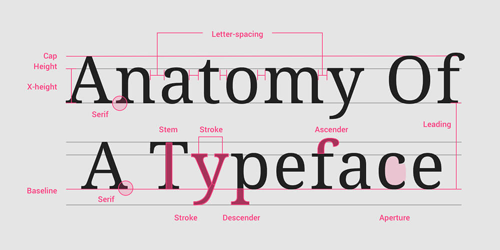 Typography How To Choose The Right Font For Your Website 
